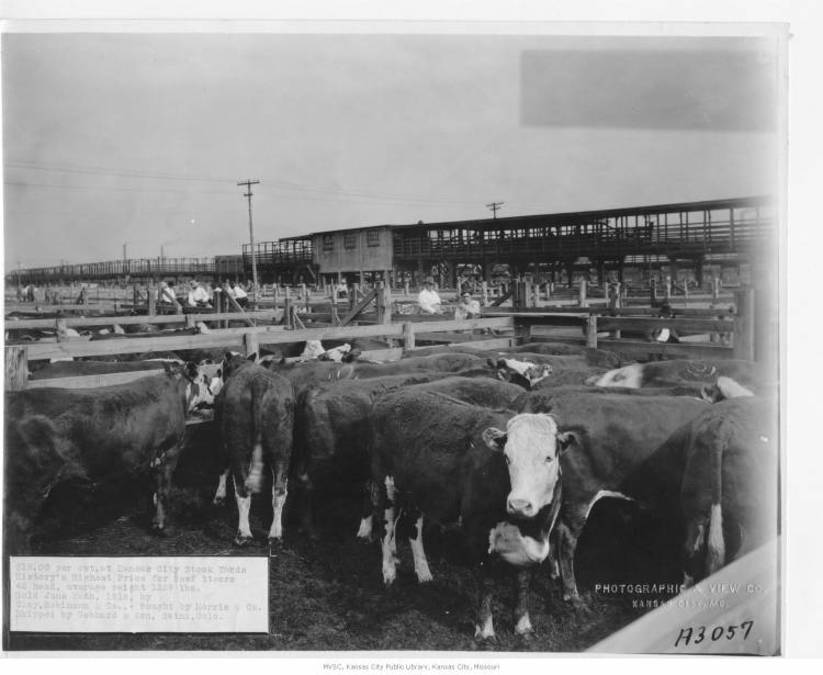 PHOTOS: Kansas City 100 years ago - Gallery