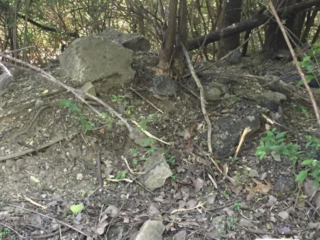 Fight continues for Precious Doe Memorial Park - KSHB.com 41 Action News