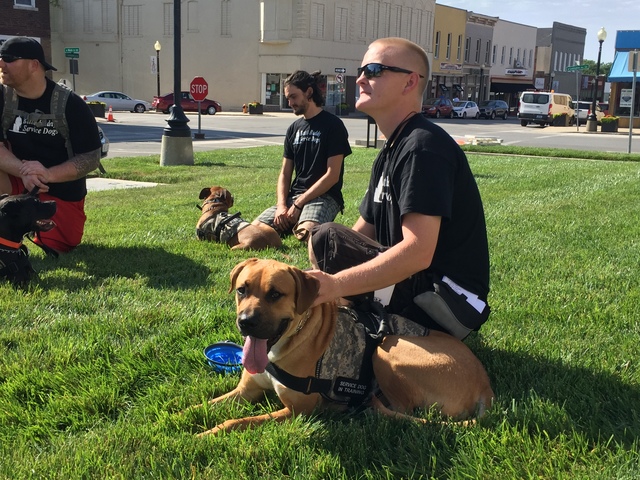 PHOTO: Boy Scout hosts Service Dog Awareness Day - Gallery