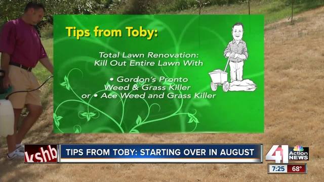 Tips from Toby: starting over in August - KSHB.com 41 Action News