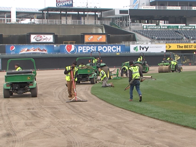 Royals grounds crews plan to finish massive field renovation this week ...
